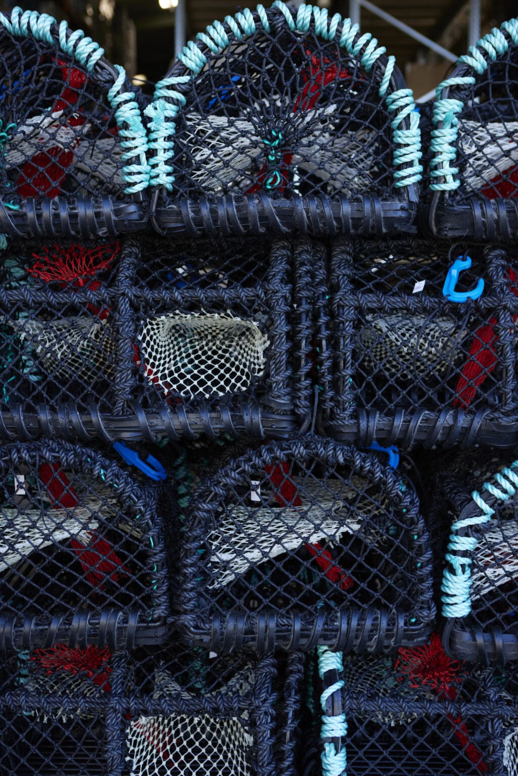 High-Quality Net & Rope Solutions for Marine & Industry | SNG